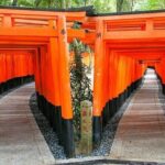 Kyoto Private Full-day Walking Tour from Kyoto Station - What Travelers Are Saying