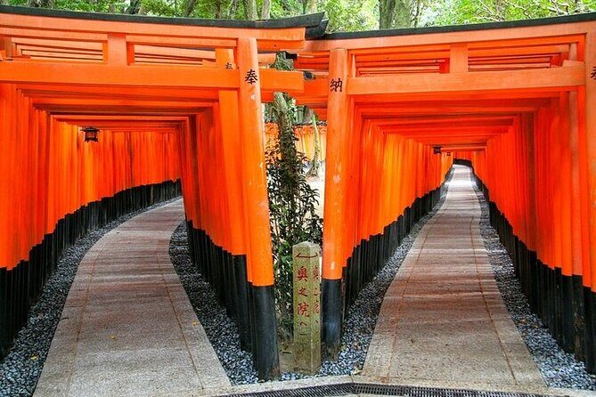 Kyoto Private Full-day Walking Tour from Kyoto Station - What Travelers Are Saying