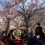 Kyoto Private Guided Beauty Tour - Practical Details and Tips