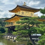 Kyoto Private Guided Tour with Pick up - The Bottom Line