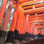 Kyoto Private Tour with National Licensed Guide - Who Will Love This Tour?