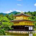 Kyoto Private Tour with National Licensed Guide from Osaka - What the Reviews Say