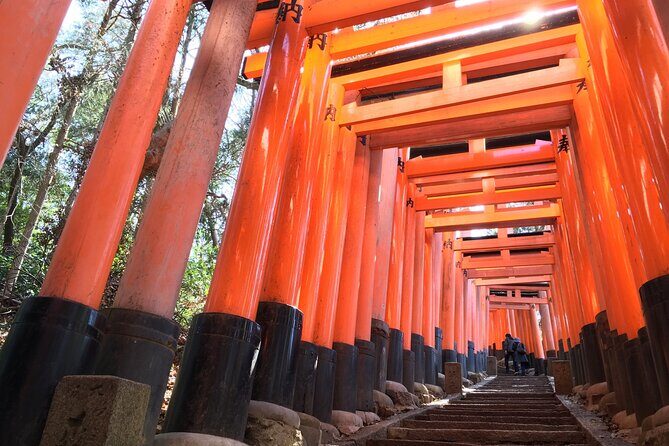 Kyoto Private Tour with National Licensed Guide - Who Will Love This Tour?