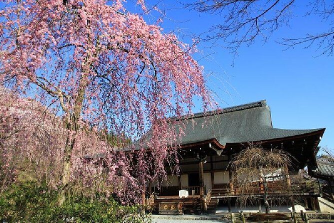 Kyoto Sagano Bamboo Grove & Arashiyama Walking Tour - The Historic Zen Temples