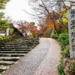 Kyoto Sansen-in Arashiyama Train 1 Day Tour from Osaka or Kyoto - Arashiyama’s Natural and Cultural Sights