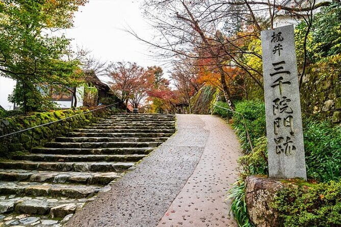 Kyoto Sansen-in Arashiyama Train 1 Day Tour from Osaka or Kyoto - Arashiyama’s Natural and Cultural Sights