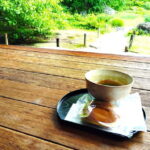Kyoto: Serene Garden Philosophy at Murin-an with Matcha Tea - Guided Tour: What to Expect