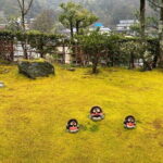 Kyoto Shore Excursion from Osaka with Japanese Guide - Final Thoughts: Is This Tour Right for You?