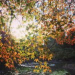 Kyoto: the Best E-bike Tours, Explore Kyoto like a local! - Who Should Consider This Tour?