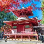 Kyoto to Mt. Koya One Day Walking Tour - Key Points