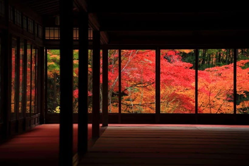 Kyoto Top Highlights Full-Day Trip from Osaka - Price and Value