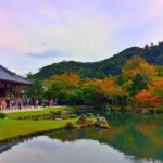 Kyoto top must-see Golden pavilion and Bamboo forest half-day Private tour - What the Tour Means for Travelers