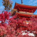 Kyoto tour 12 hours Private Nagoya pick up available - Final Thoughts