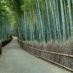 Kyoto Tour by Car from Kyoto Osaka Kobe - Who Should Consider This Tour?