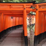 Kyoto Walking Tour at Fushimi Inari Shrine and Tofukuji Temple - Walking Through a Residential Area to Tofukuji