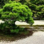 Kyoto: Zen Garden, Zen Mind (Private) - Authenticity and Educational Focus