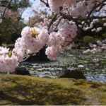 Kyoto's World Heritage Walking Tour from Kyoto st. - Final Thoughts: Is It Worth It?