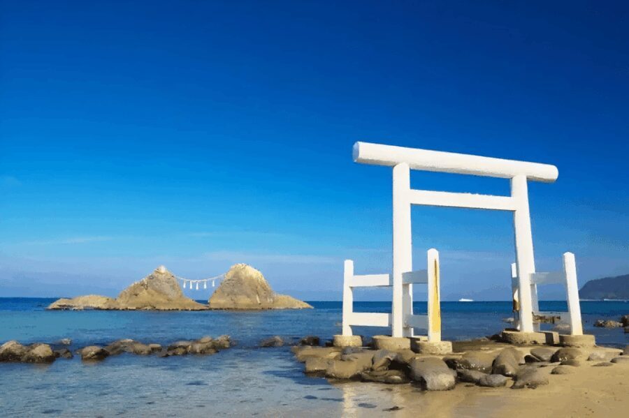 Kyushu 9-hour chartered day trip Fukuoka - Who Will Love This Experience?