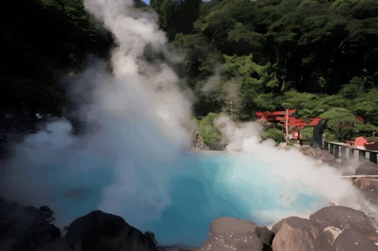 Kyushu 9-hour chartered day trip Oita - Why This Tour Offers Good Value