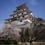 Kyushu 9-hour chartered day trip Saga - Detailed Breakdown of the Itinerary and Highlights