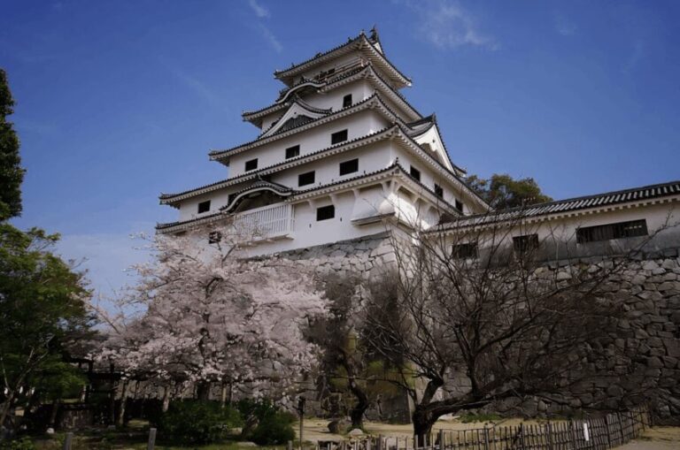 Kyushu 9-hour chartered day trip Saga - Detailed Breakdown of the Itinerary and Highlights