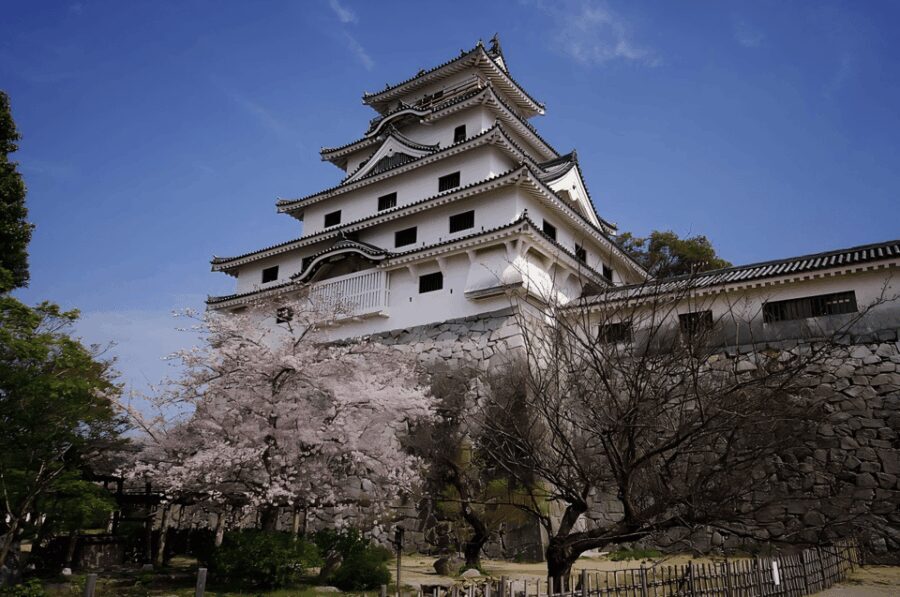 Kyushu 9-hour chartered day trip Saga - Detailed Breakdown of the Itinerary and Highlights