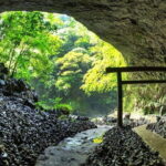 Kyushu Tour of Shrines Sakura Gorges and Landmarks from Fukuoka - A Detailed Look at the Kyushu Tour