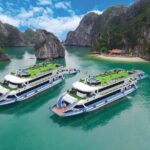 La Casta Cruise - Luxury Day Tour in Halong Bay (Expressway- Limousine) - Exploring the Itinerary in Detail