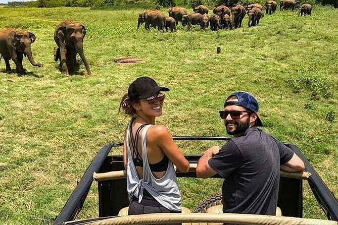 La Ceylon Popular Round Tour in Sri Lanka (8 Day) - In-Depth Breakdown of the Itinerary