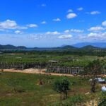 La Plantation tour (discovering Kampot Pepper) + Lunch - An In-Depth Look at the La Plantation Experience