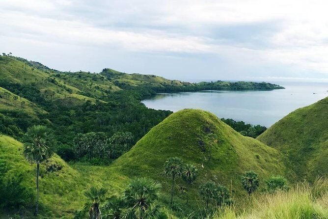 Labuan Bajo In Depth - What We Love About the Itinerary