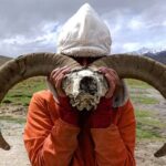 Ladakh One Day Trek- Gyamtsa to Phyang Village - Authenticity and Local Experience