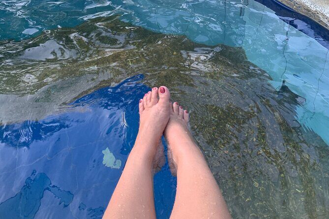 Laguna Hotspring and Tagaytay Tour from Manila - What’s Included and What’s Not