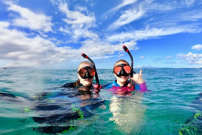 Lahaina Small Group Snorkeling Adventure - An In-Depth Look at the Experience