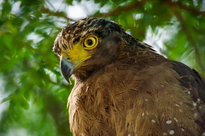 Lahugala Kitulana National Park Private Safari - Frequently Asked Questions