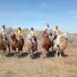 Lake Aydarkul: Kyzylkum Desert with Camel Ride & Taste Milk - What Makes This Tour a Great Value