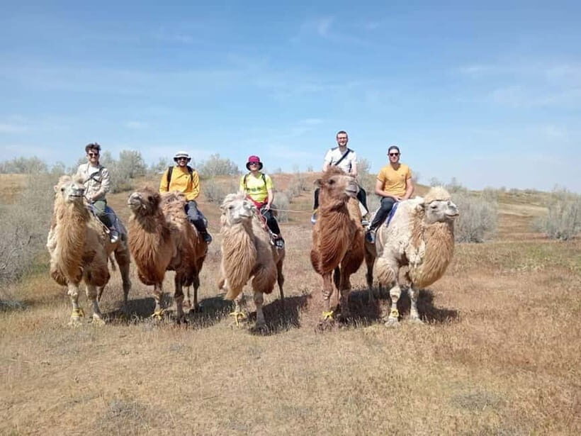 Lake Aydarkul: Kyzylkum Desert with Camel Ride & Taste Milk - What Makes This Tour a Great Value