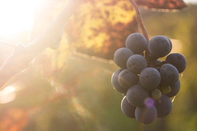 Lake Country Casual Experience - An In-Depth Look at the Lake Country Casual Experience