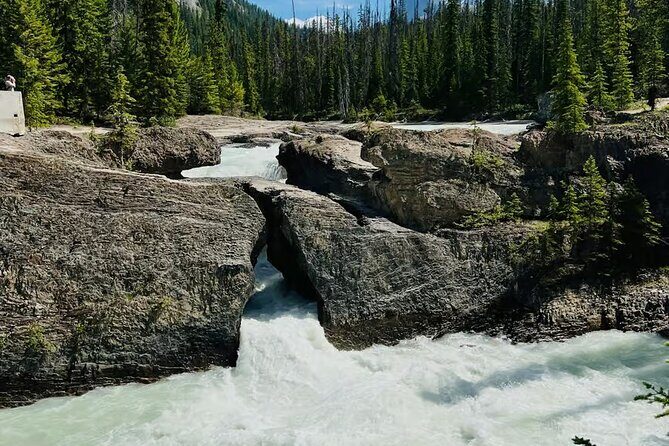 Lake Louise Moraine Emerald Lake Johnston Canyon Banff Yoho Tour - Who Would Love This Tour?