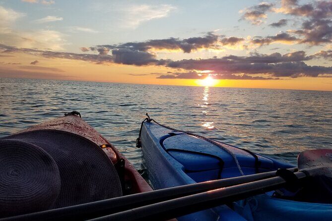 Lake Osborne Gator Watch Tour - Shipping My Expectations to Reality
