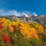 Lake Toya and Noboribatsu Hell Valley Private Day Trip - The Value of a Private Tour