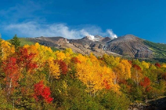 Lake Toya and Noboribatsu Hell Valley Private Day Trip - The Value of a Private Tour