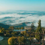 Lâm ng : Lang Biang Mountain Ticket - Key Points
