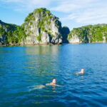 Lan Ha Bay Day Tour From Ha Noi - Daiichi Cruise (VIP3) - Who Should Book This Tour