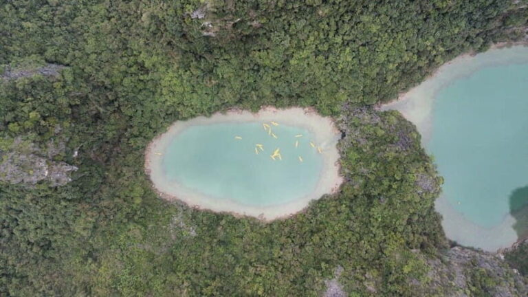 Lan Ha Bay: Full Day Boat Trip Kayak, Snorkel, Beach, Cave - What Makes This Tour Stand Out