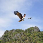 Langkawi: 6-Hour Private Island Highlights Tour - Key Points