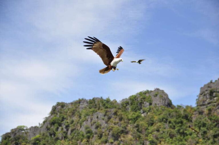 Langkawi: 6-Hour Private Island Highlights Tour - Key Points