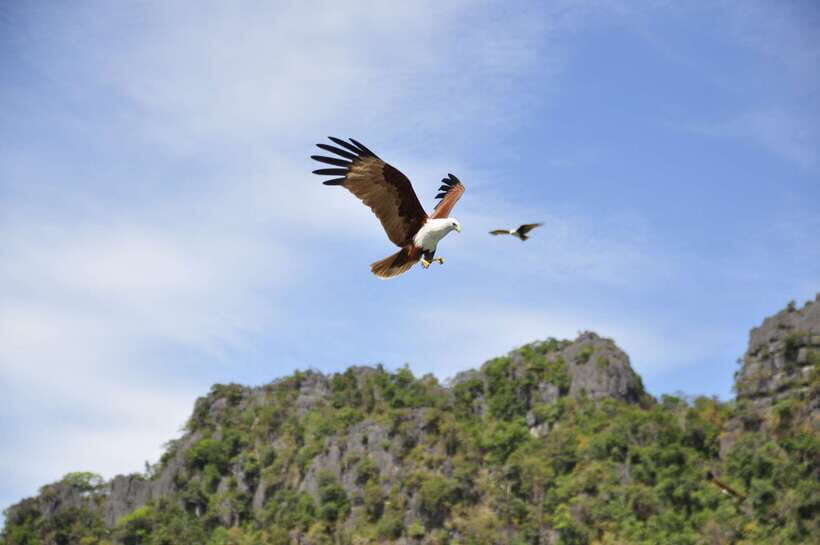 Langkawi: 6-Hour Private Island Highlights Tour - Key Points