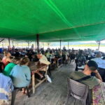 Langkawi: Boat Tour to Magic Island & Mangrove Cruise - Practical Details & Tips for Travelers