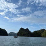 Langkawi: Half-Day Private Kilim River Mangrove Boat Tour - What to Expect and Practical Tips